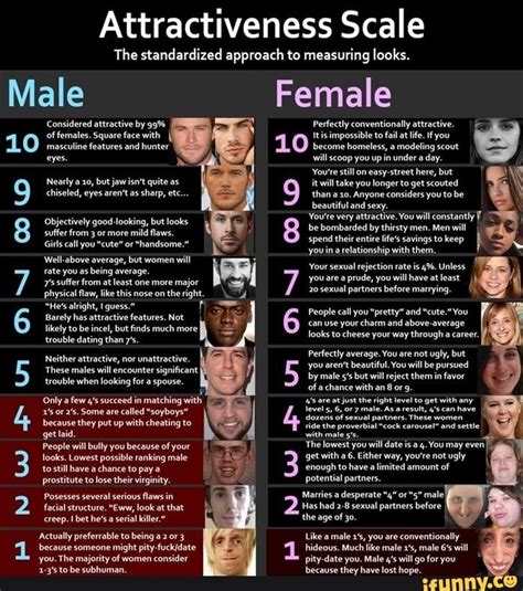 Attractiveness Scale A Guide To Measuring Looks