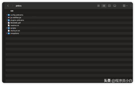 1分钟搞定jetbrains全家桶激活，告别繁琐步骤！ 哔哩哔哩