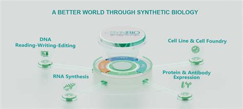 Empowering Scientific Discovery With Synbio Technologies Brush Times
