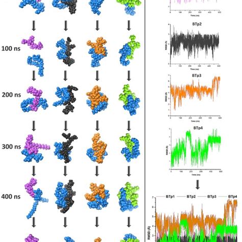 Trajectory Analyses Of Four Novel Peptides Bound To Lipoteichoic Acid