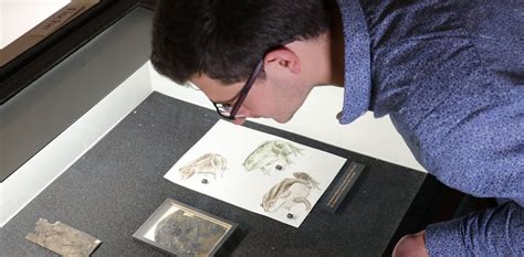 Hundreds Of Frog Fossils Found In A Mass Grave Dated Back 45 Million Years In Germany Show