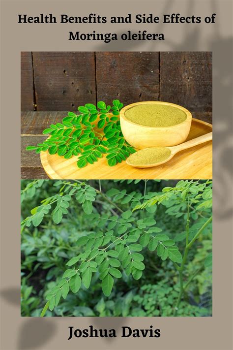 Moringa Benefits