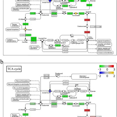Figure A2 Pca Plot Exhibiting The Result Of Quality Control Of