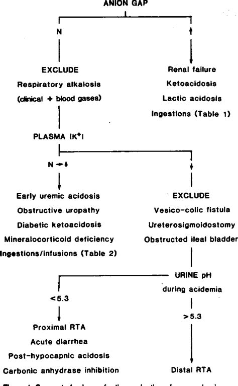 Hyperchloremic Acidosis Metabolic Acidosis Pathophysiology