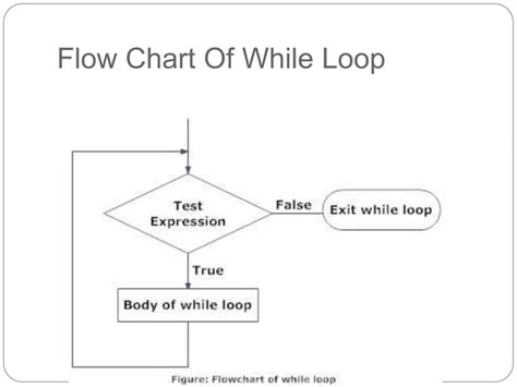 C Decision Making And Looping Pptx Programming Languages Computing