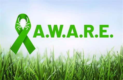 15 Facts About National Lyme Disease Awareness Month May