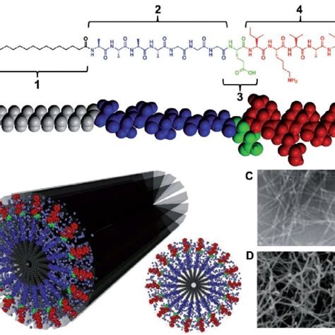 Schematic Of The Scaffold Based Tissue Engineering Approach Download