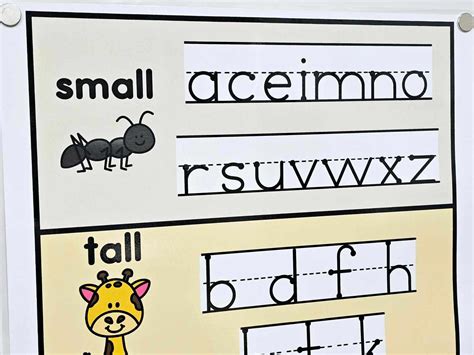 Small Tall Fall Anchor Chart [hard Good] Dolphin Option 2