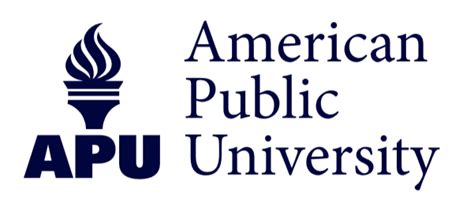 American Public University Online Course Report