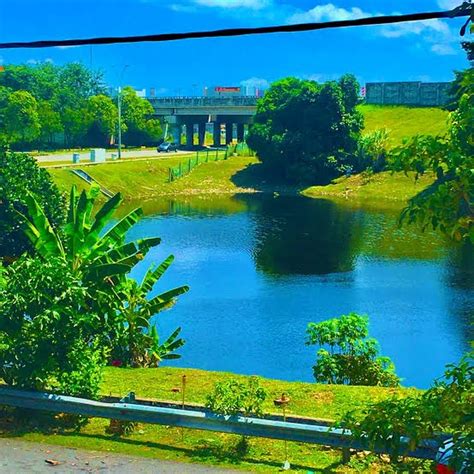 Rahul Chauhan Youtube