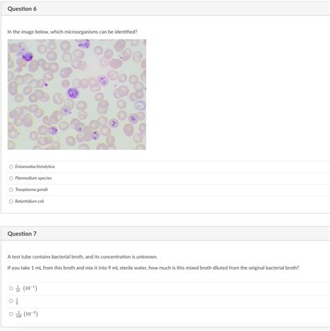 Solved In The Image Below Which Microorganisms Can Be Chegg