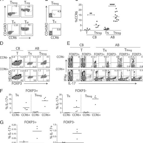 Defining Il 17 Secreting Human Treg Subsets Cd4 T Cells Were Sorted Download Scientific