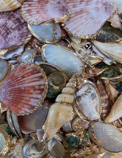 Pin By ᰔᩚ On Treasure ꕥ Sea Shells Mermaid Mermaid Aesthetic