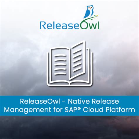 releaseowl native release management for sap® cloud platform