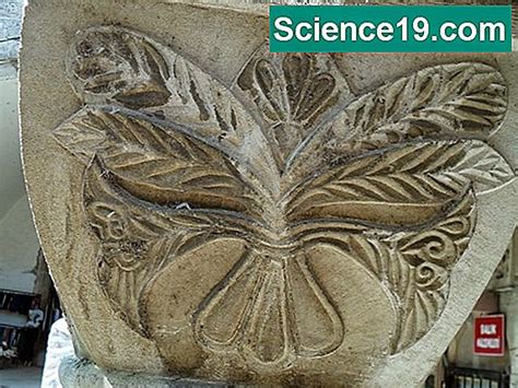 Dört Ana Yer Biçimi Nedir 💫 Bilimsel Ve Popüler Multimedya Portalı 2025