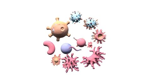 3d Bacteria Collection Model Turbosquid 2340963