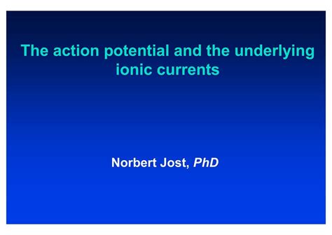 The Action Potential And The Underlying Ionic Currents