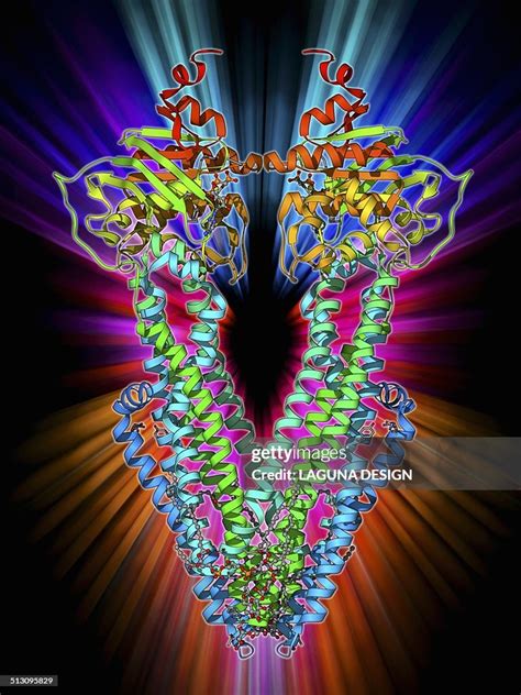 Atpbinding Cassette Transporter High Res Vector Graphic Getty Images