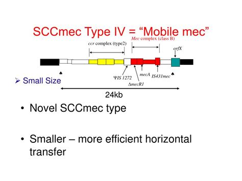 Ppt Lecture 3 Mrsa Methicillin Resistant S Aureus Powerpoint Presentation Id 437653