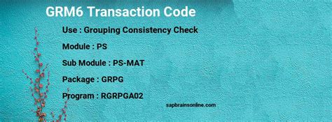 Grm6 Sap Tcode For Grouping Consistency Check
