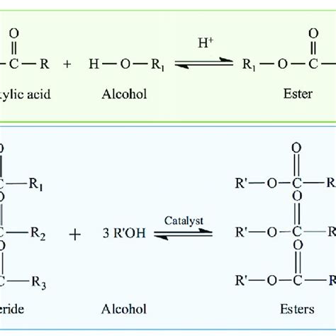 Esterification And Transesterification Reactions To Produce Esters 1112 Download
