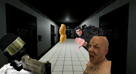Every Scp Game In A Nutshell R Dankmemesfromsite19