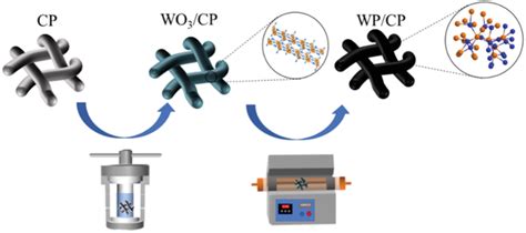 Experiment Workflow And Obtained Sample Structure Schematic Download Scientific Diagram