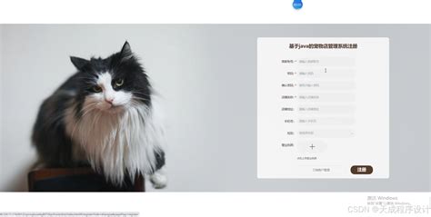 Springboot毕设基于java的宠物店管理系统源码论文部署基于java Springboot的宠物店管理系统的设计与分析国内外文献研究综述 Csdn博客