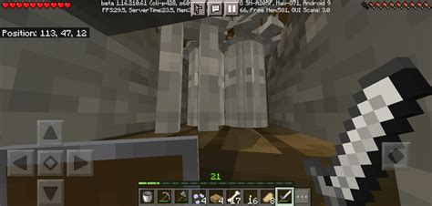 Skeleton Spawners The Best R Minecraft Skeleton Spawners The Best R Minecraft