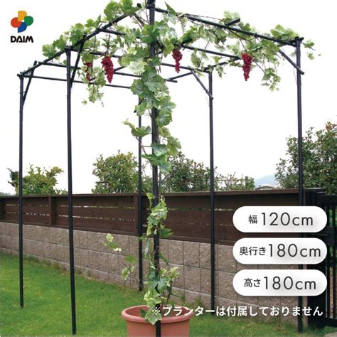 Daim くだもの棚セット Kt M 120 パーゴラ ガーデンアーチ ガーデンファニチャー 藤棚 果樹棚 セット 果物棚 キウイ棚 ぶどう棚 棚 園芸棚 その他 ｜売買されたオークション情報