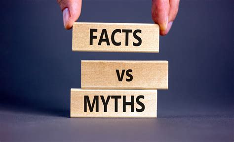 Chapter 9 The Role Of Domain Hosting Separating Myths From Facts Panasall