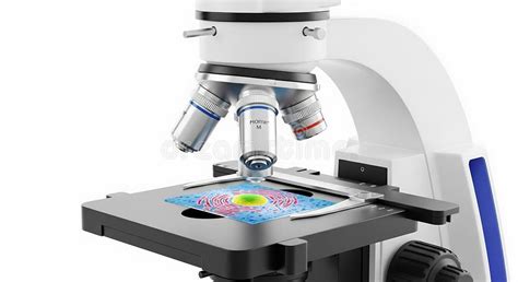 Optical Microscope Featuring Multiple Objective Lenses Identifiable By