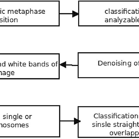 Iscn Human Ideogram And A Normal Karyogram Download Scientific Diagram