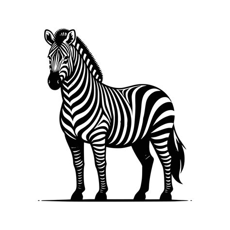 Free Zebra Art Illustration 46308413 Vector Art At Vecteezy