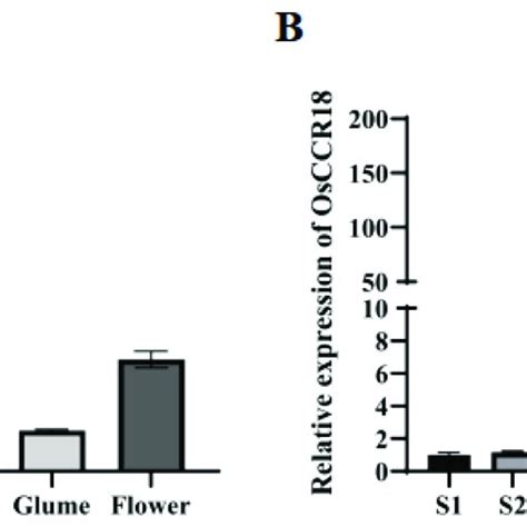 Subcellular Localization Analysis Of Osccr18 A D Transient