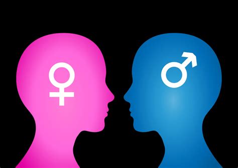 Are Male And Female Brains Different