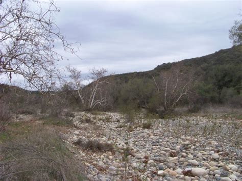 Ronald Caspers Wilderness Park San Juan Capistrano Cityseeker