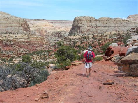 7 Best Hikes In Capitol Reef National Park The Salt Lake Tribune