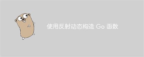 使用反射动态构造 Go 函数 Golang学习网 使用反射动态构造 Go 函数 Golang学习网