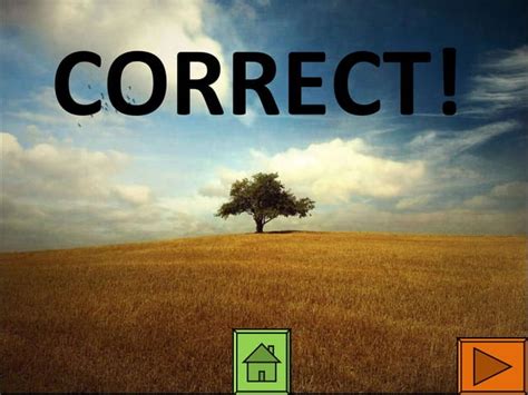 Non Linear Powerpoint Tutorial Ppt