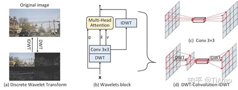 Wave Vit Unifying Wavelet And Transformers For Visual Representation