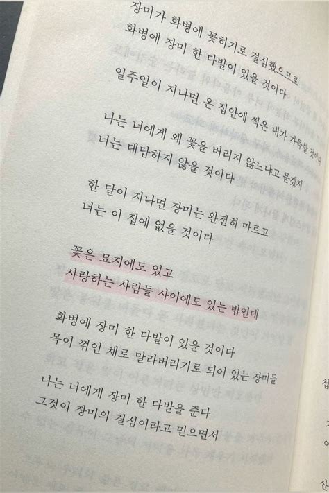 빠른 저장에 있는 Minjoo Jang님의 핀 인용문 책 문학