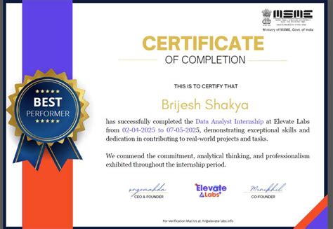 Dataanalytics Internshipexperience Bestperformer Dataanalyst