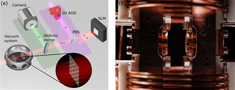 01 Neutral Atom Devices — Asqsqis Tutorials With Qutip