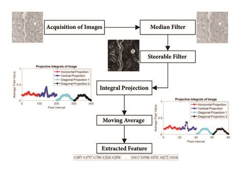The Proposed Feature Extraction Process Download Scientific Diagram