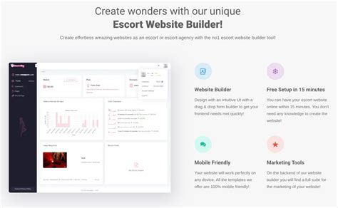 TemplatePanic WordPress Themes Web Development
