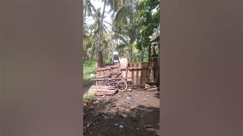 Maxxi Bimo 102 Youtube