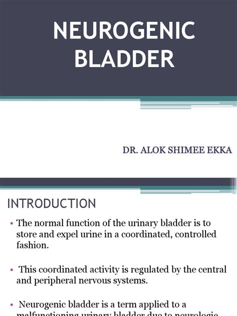 Neurogenic Bladder Urinary Incontinence Urination