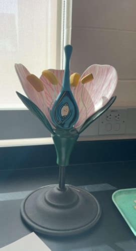 Angiosperms Reproduction Flashcards Quizlet