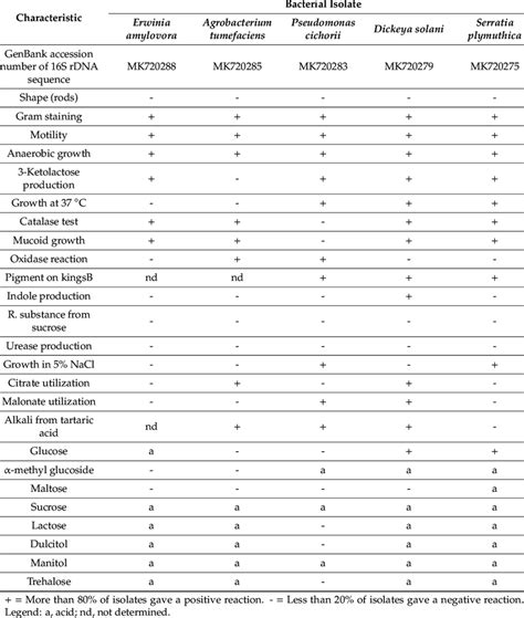 Morphological Traits Physiological Traits Biochemical Reactions And Download Scientific